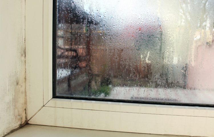 Leaking Windows When It Rains - EcoTech Windows & Doors